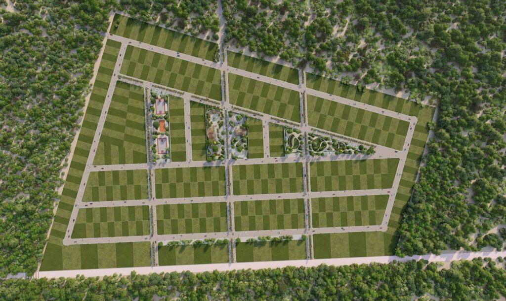 Punta Clara – Cardinal